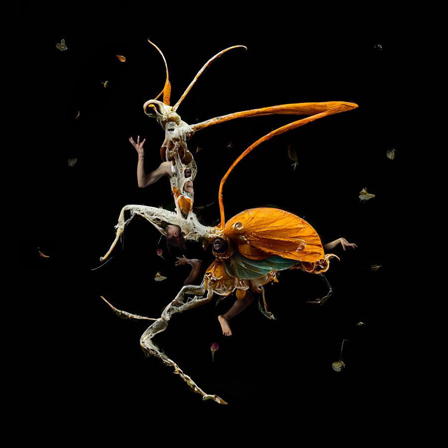 Metamorphosis Cast | Frantic Assembly