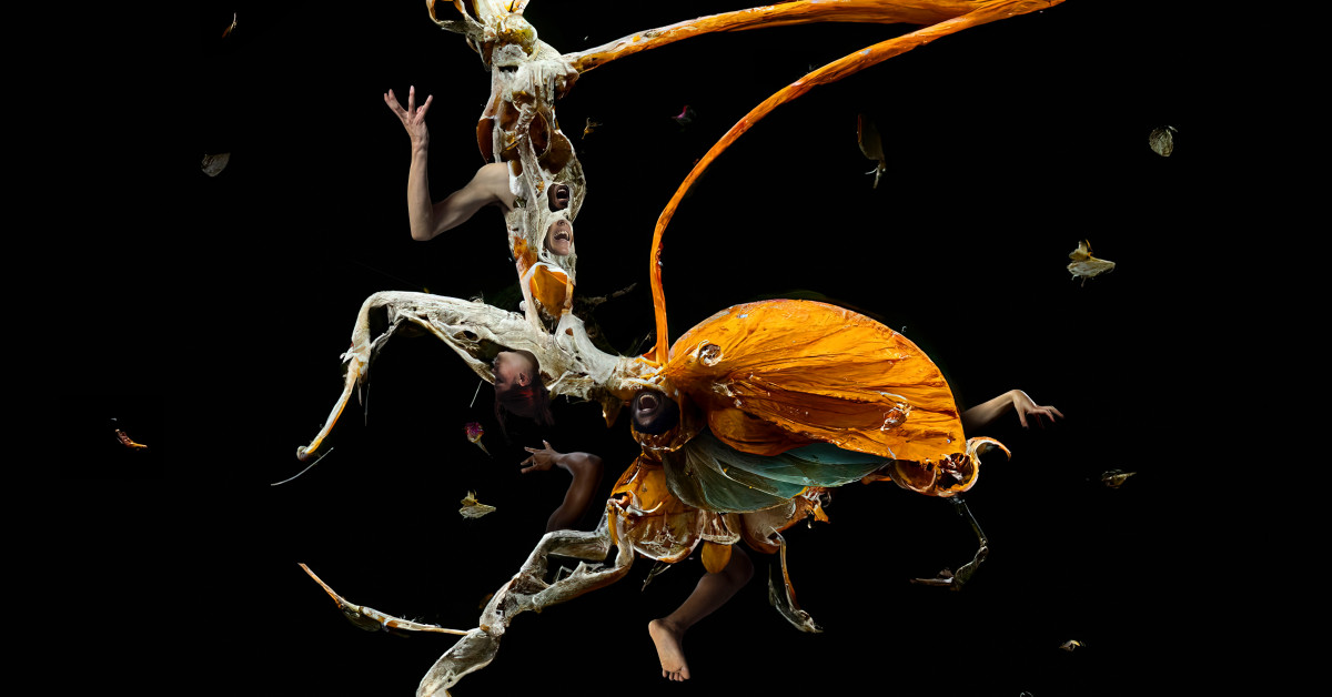 Metamorphosis Cast | Frantic Assembly